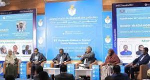 FESU Website – Federation of Somalia Universities (FESU)