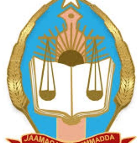 FESU Website – Federation of Somalia Universities (FESU)